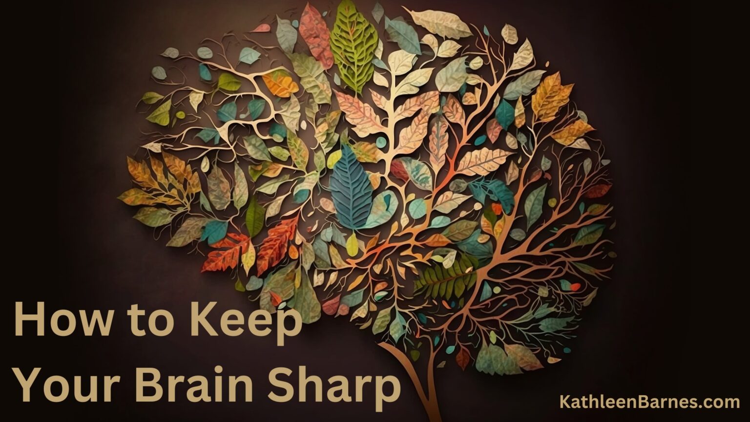 How To Keep Your Brain Sharp in Midlife and Beyond – KathleenBarnes.com